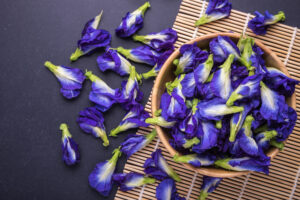 Sankhpushpi in Ayurveda: Benefits, Uses & Safety