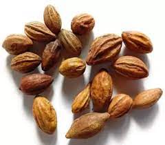 Triphala in Ayurveda: Tridoshic Balance, Benefits & Traditional Uses