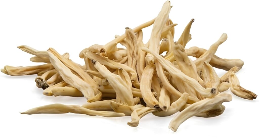 Safed Musli Powder Benefits, Uses, Dosage & Health Guide | Ayurvedic Herb